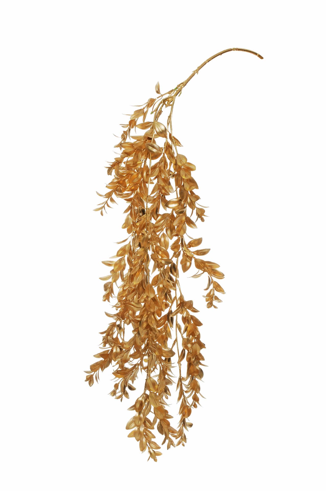 Ramo Dorato Pendente Boxwood – My Garden